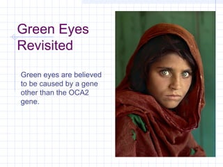 Human eye color inheritance, Mr. Wright | PPT