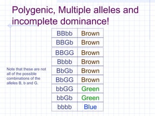 Multiple Alleles Eye Color