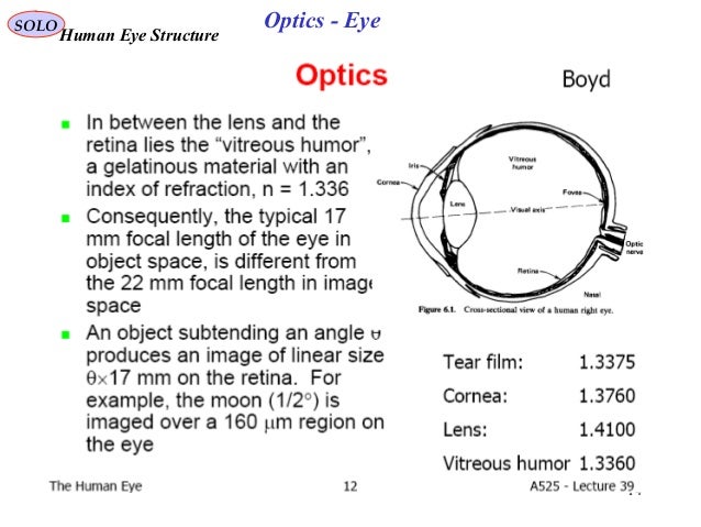 Human eye optics