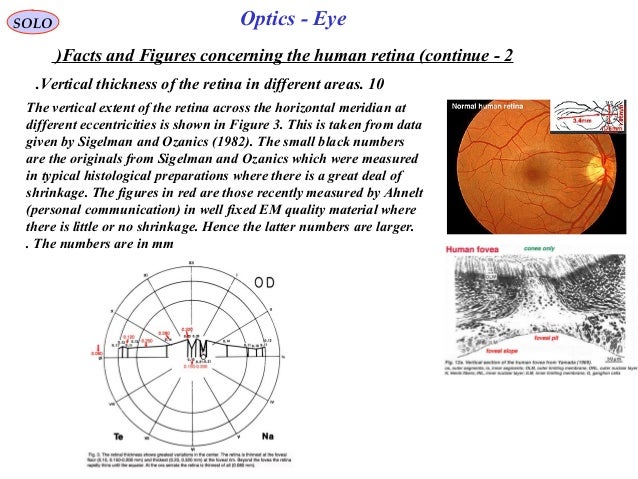Human eye optics