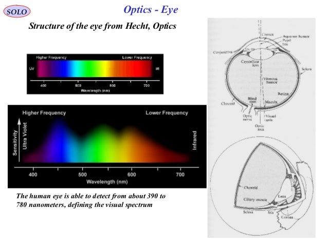 Human eye optics