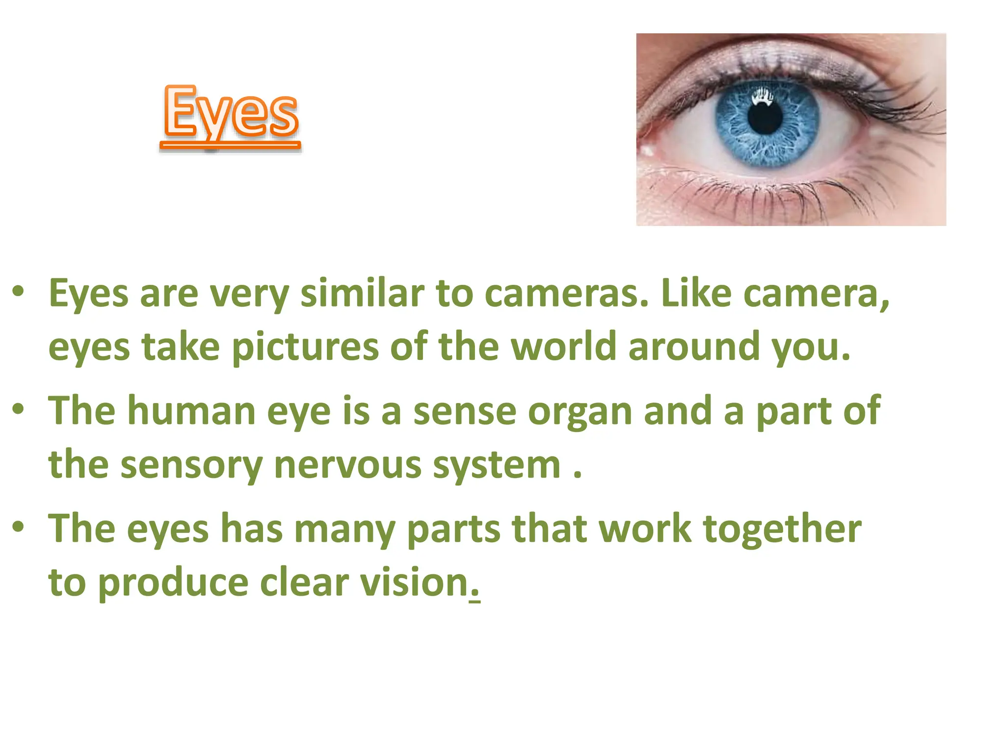 presentation of Human eye and all its parts Ppt.pptx