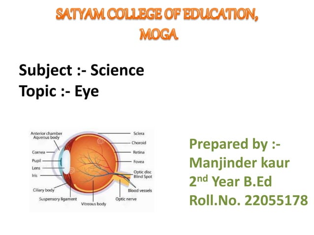 presentation of Human eye and all its parts Ppt.pptx