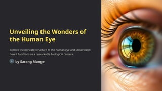 Human Eye PPT with descriptive formation for class 8 ICSE | PPTX