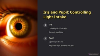 Human Eye PPT with descriptive formation for class 8 ICSE | PPTX