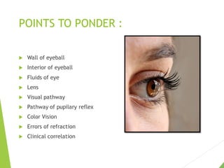 Human Eye Presentation.pdf