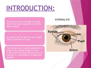 HUMAN_EYE_PRESENTATION_yaaaaaaaaaaaaaaaaaaaaaaaaaaaaaaaaaaaaaaaaaayyyyyyyyyyyyyyyyyyy | PPTX