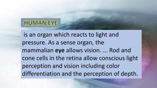 Human eye, | PPTX