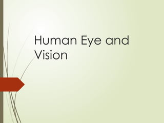 Human_Eye_Vision_Presentation grade 8 .pptx