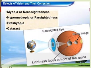 Human_Eye_Vision_Presentation grade 8 .pptx