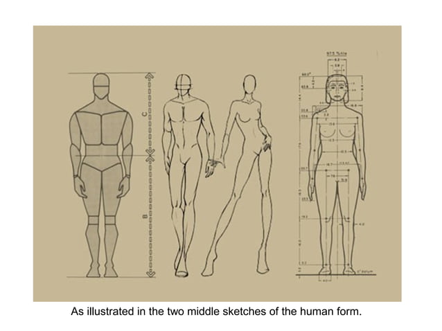 Human factors and ergonomics and anthropometrics | PPT | Science