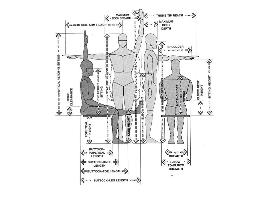 Human factors and ergonomics and anthropometrics