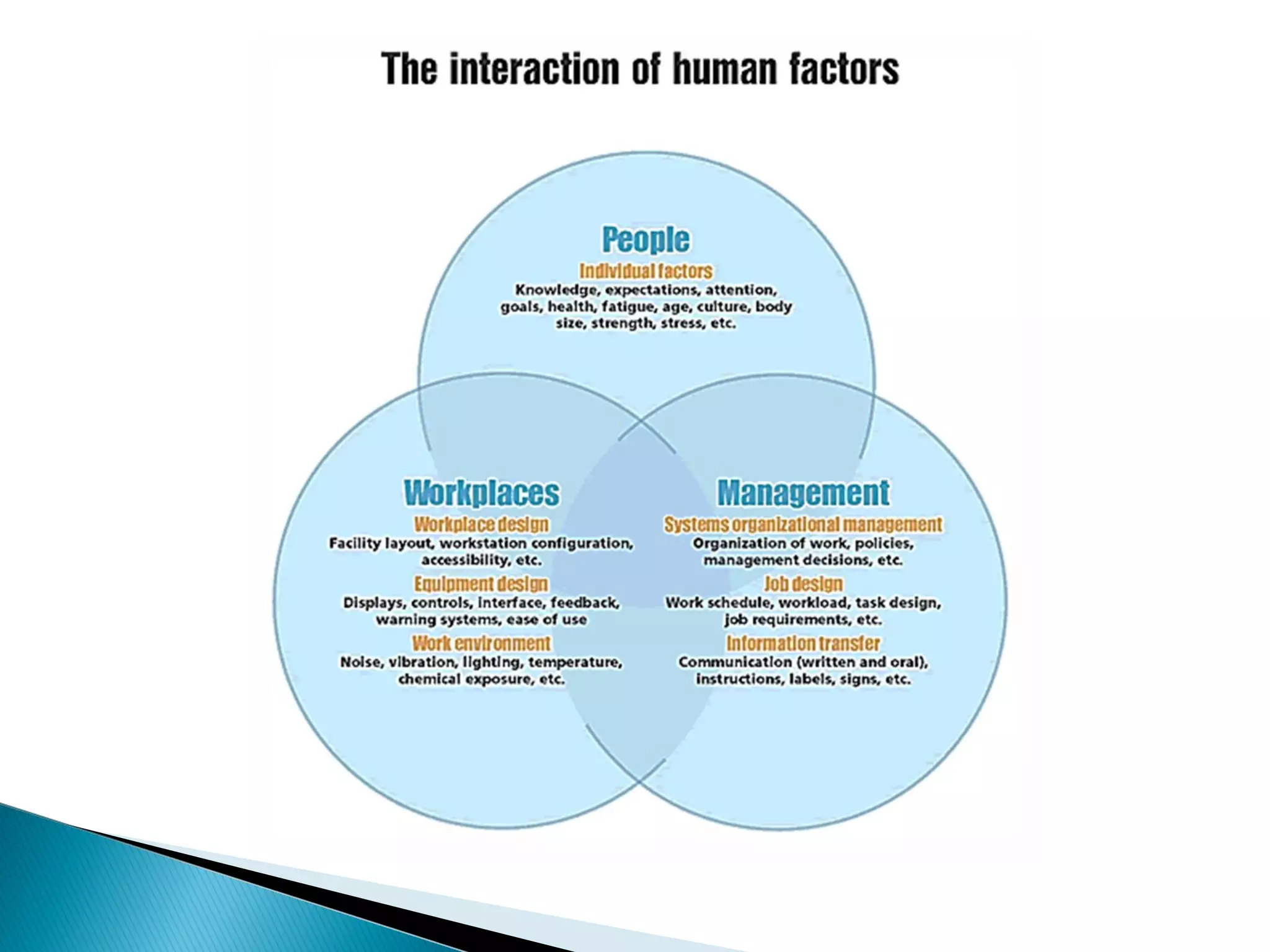 Human Factors as Driver for Safety Management, Engineering, and Risk ...