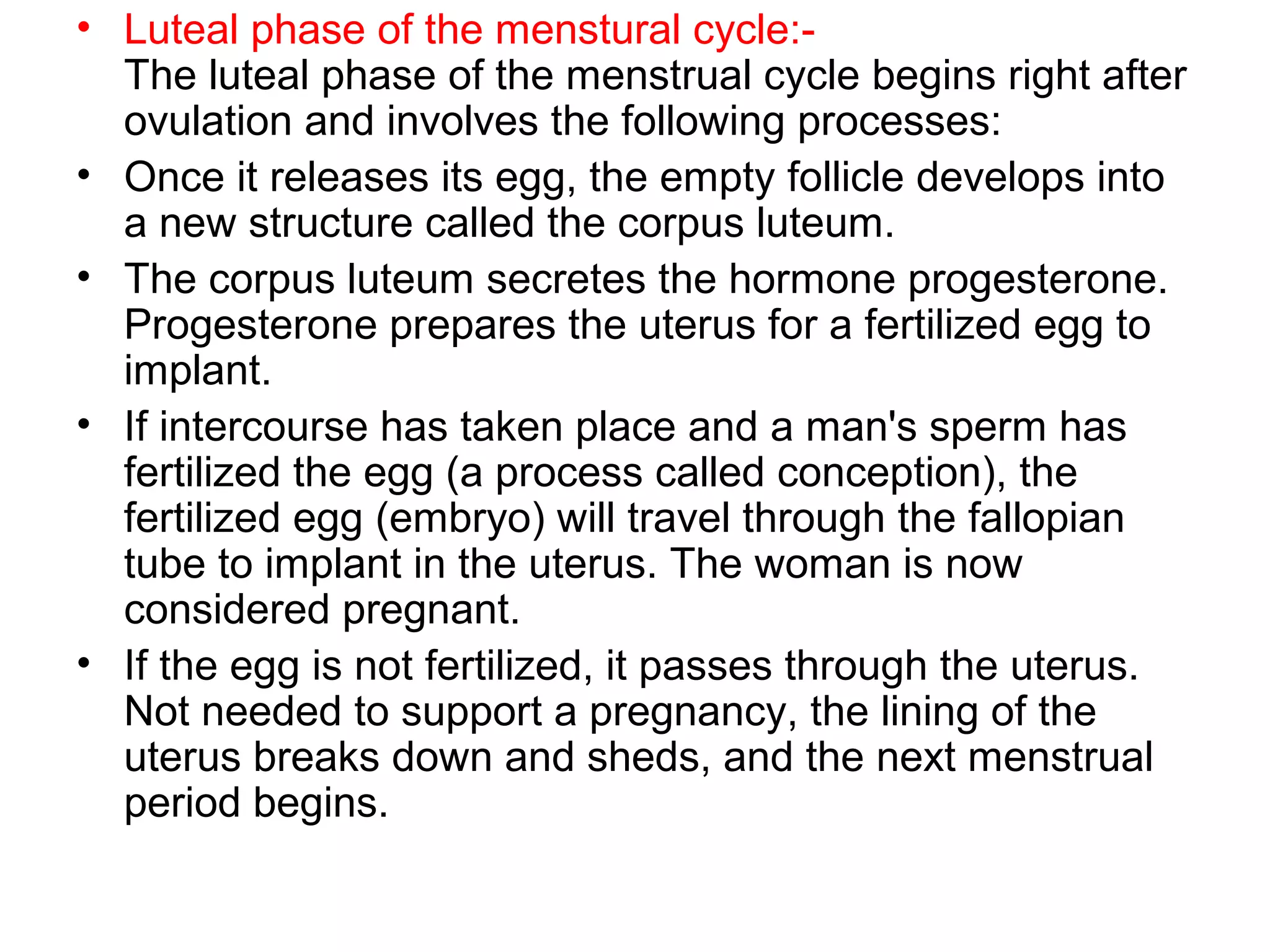 Human female reproductive system | PPT