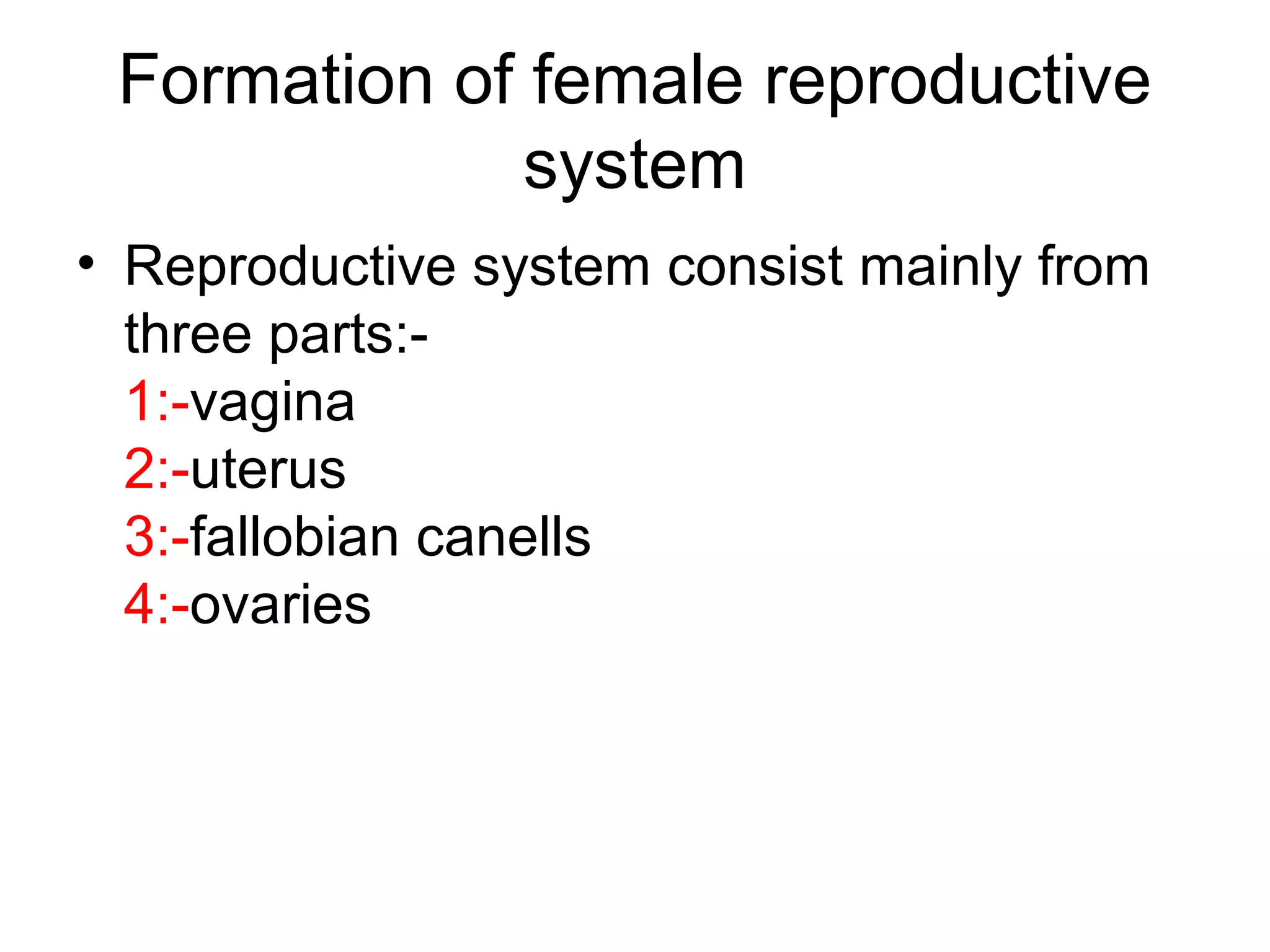 Human female reproductive system | PPT