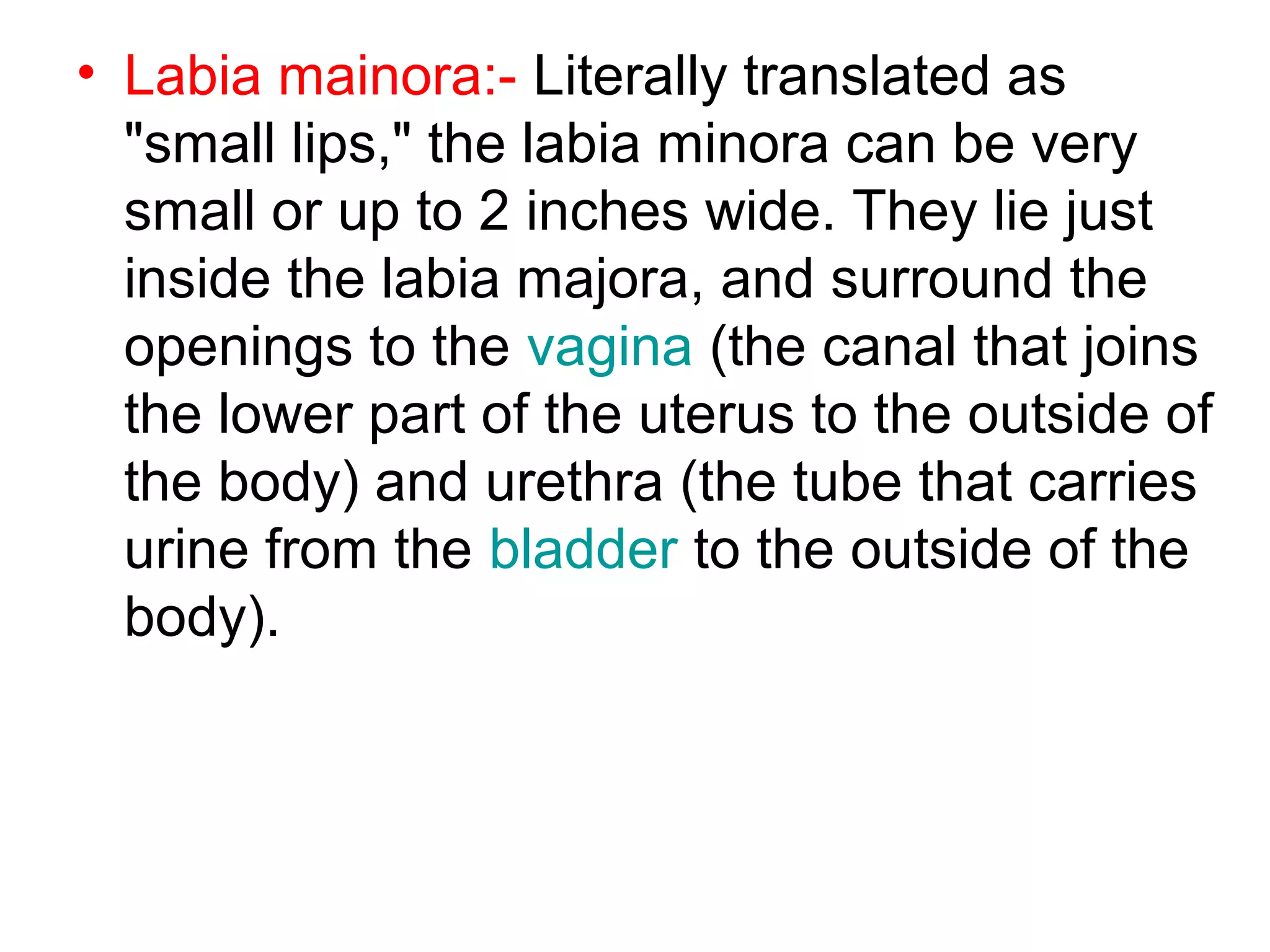 Human female reproductive system | PPT