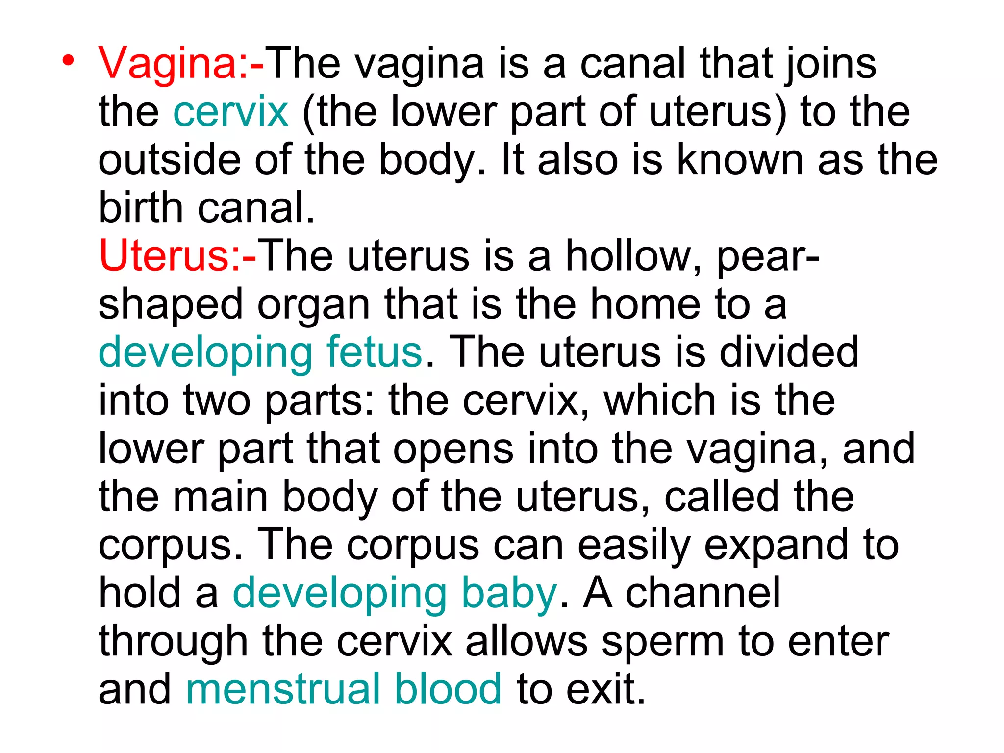 Human female reproductive system | PPT