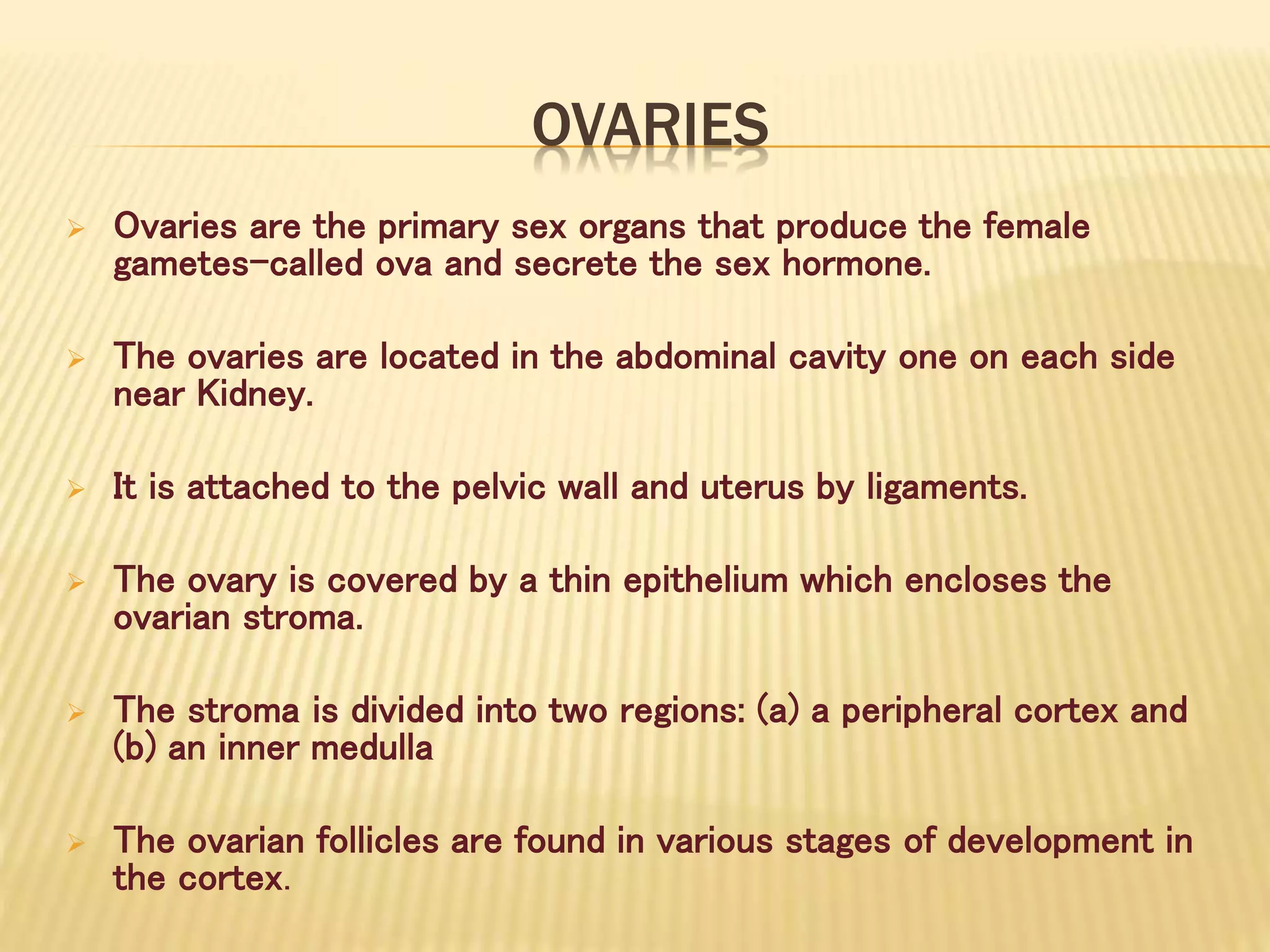 Human female reproductive system | PPTX