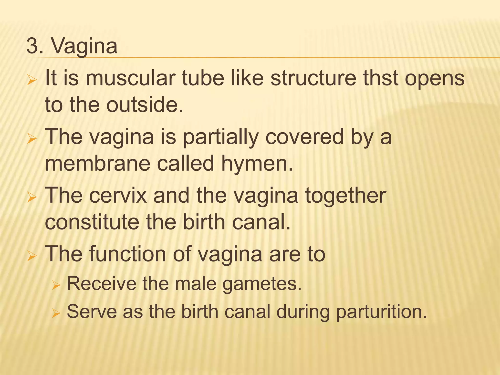 Human female reproductive system | PPTX