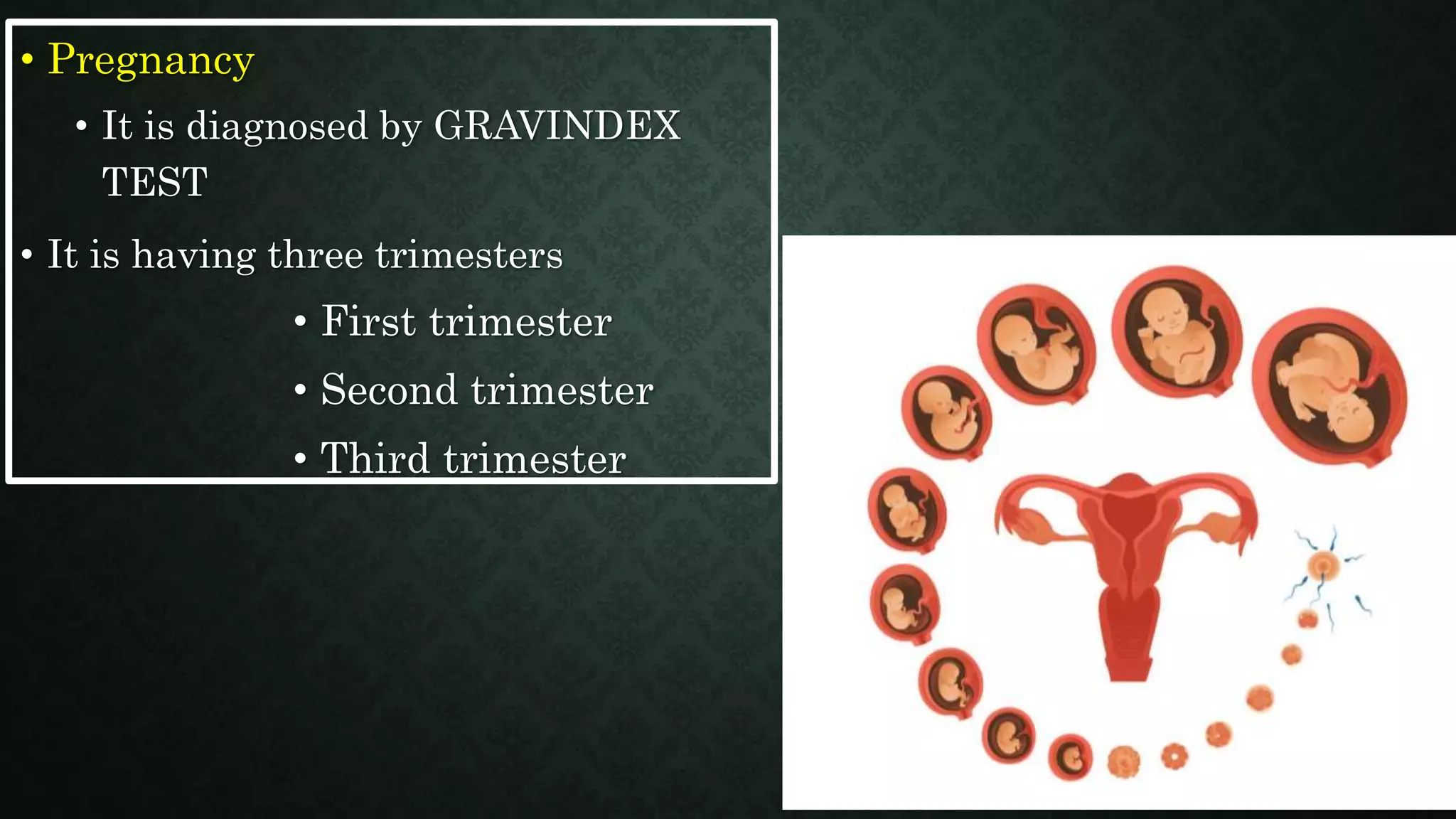 Human female reproductive system | PPTX
