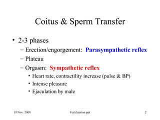 Human fertilization | PPT