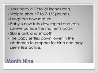 Human Fetal Development | PPTX