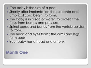 Human Fetal Development | PPTX