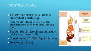 Human flora.pptx