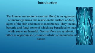 Human flora.pptx