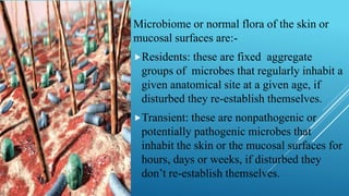 Human flora.pptx