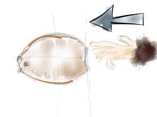 Human fully alive | PDF