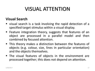 Human function and attention ppt | PPTX