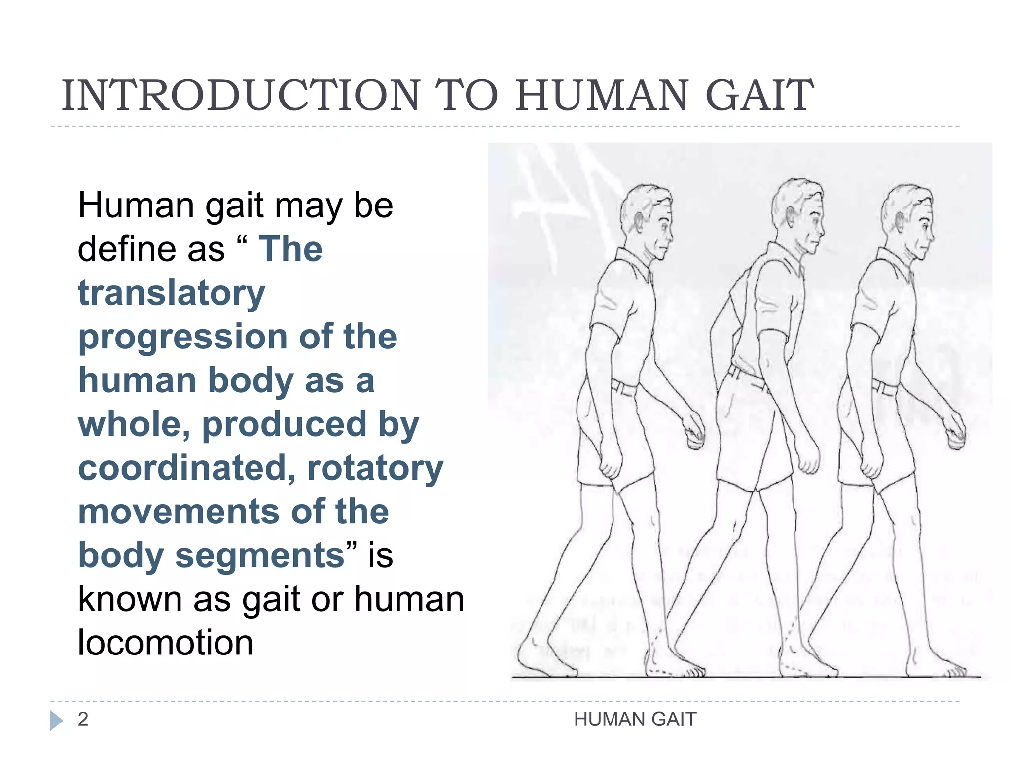 Human gait | PPT