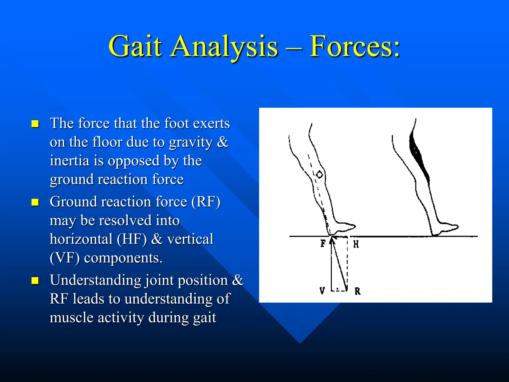 HUMAN GAIT.pptx............................ | PPTX | Foot Health | Diseases and Conditions