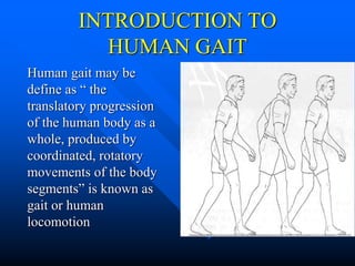 HUMAN GAIT.pptx............................ | PPT