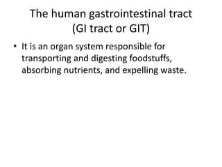 Human gastrointestinal tract | PPTX