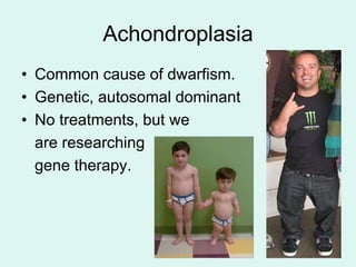 human_genetic_disorders.ppt