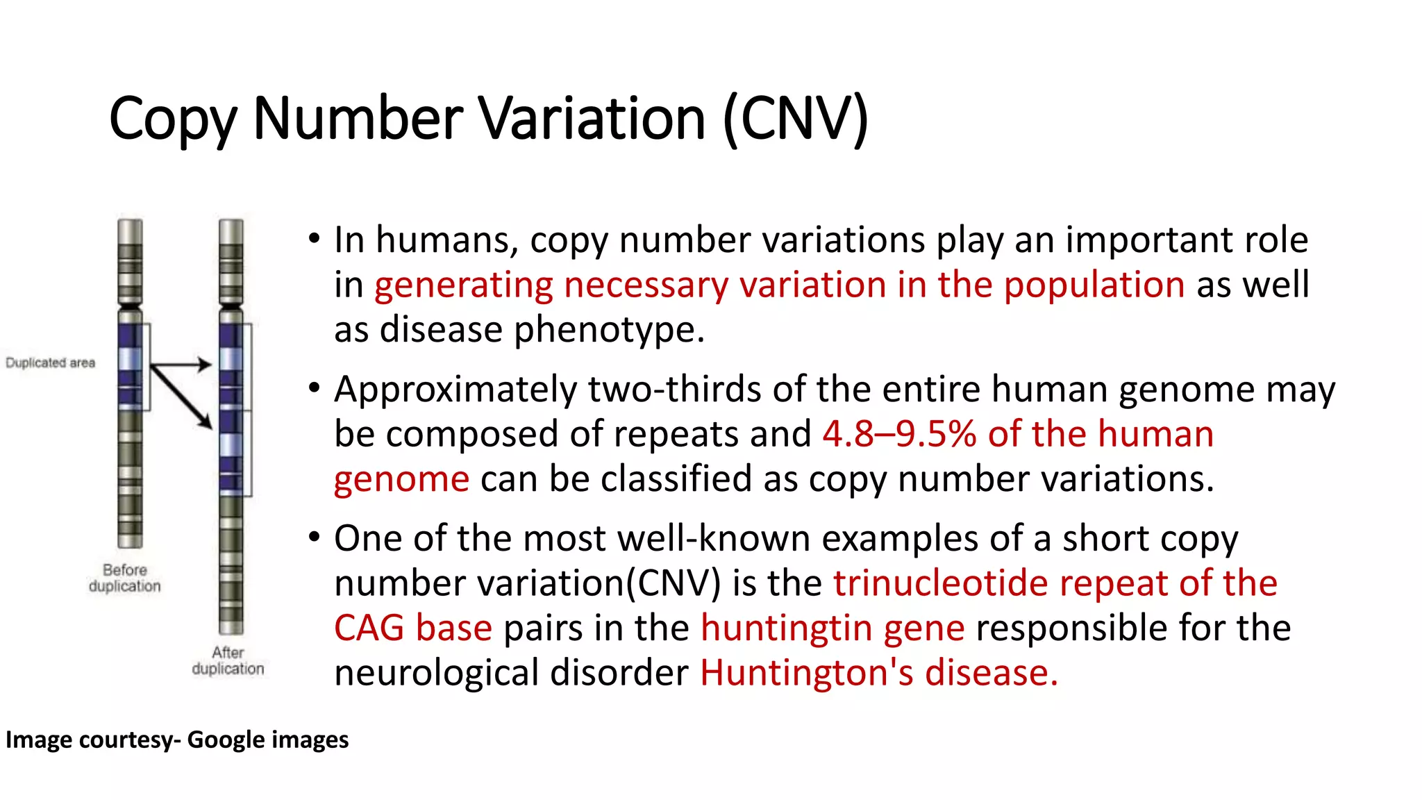 Human genetic diversity and origin of major human groups | PPT