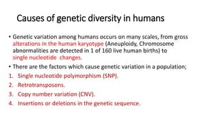 Human genetic diversity and origin of major human groups | PPT