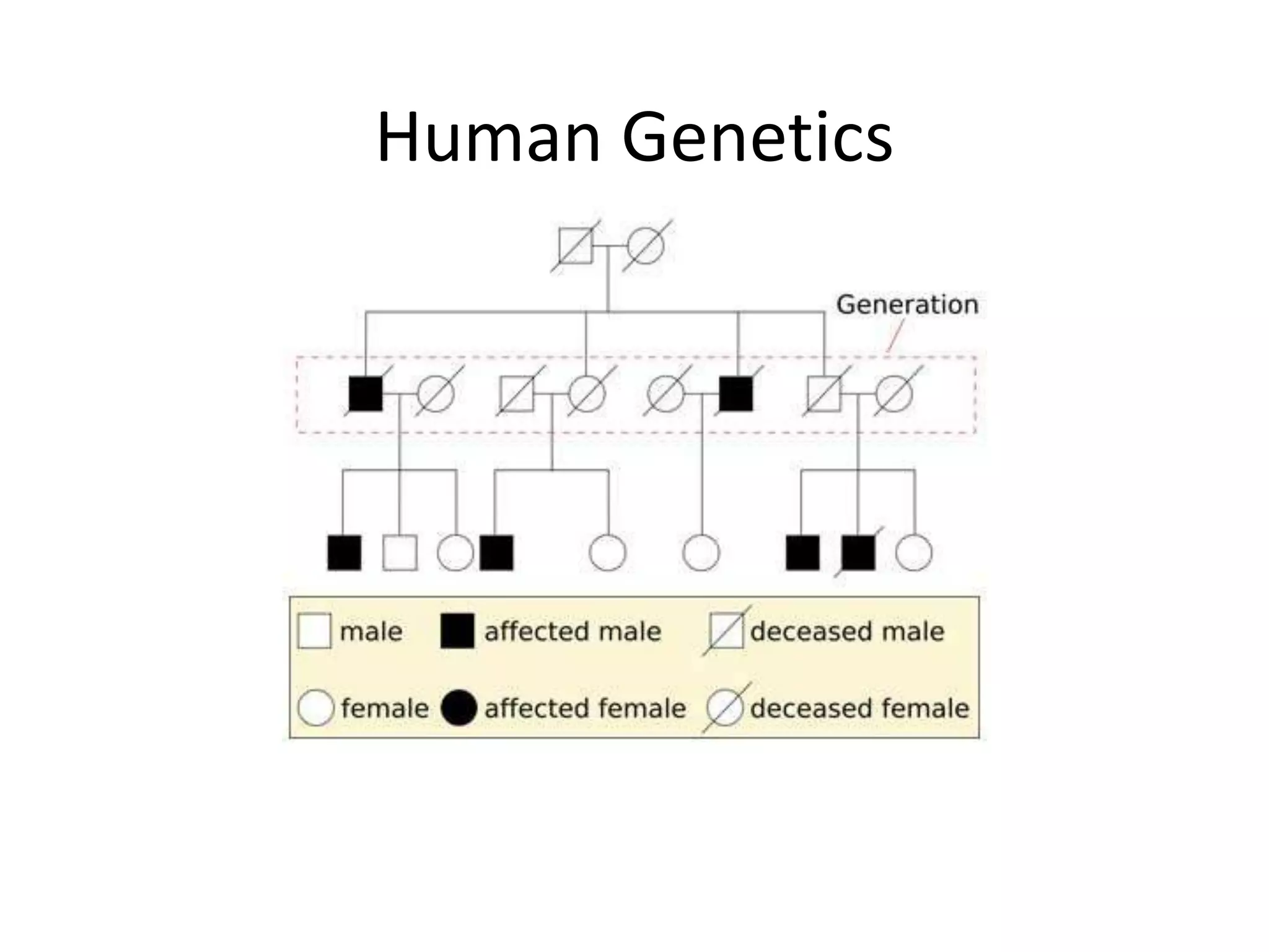 Human genetic inheritance patterns | PPTX