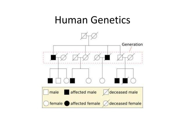 Human genetic inheritance patterns | PPTX