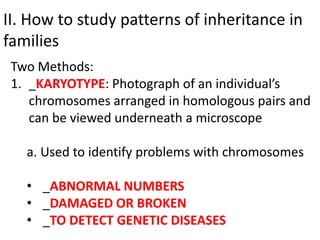 Human genetic inheritance patterns | PPTX
