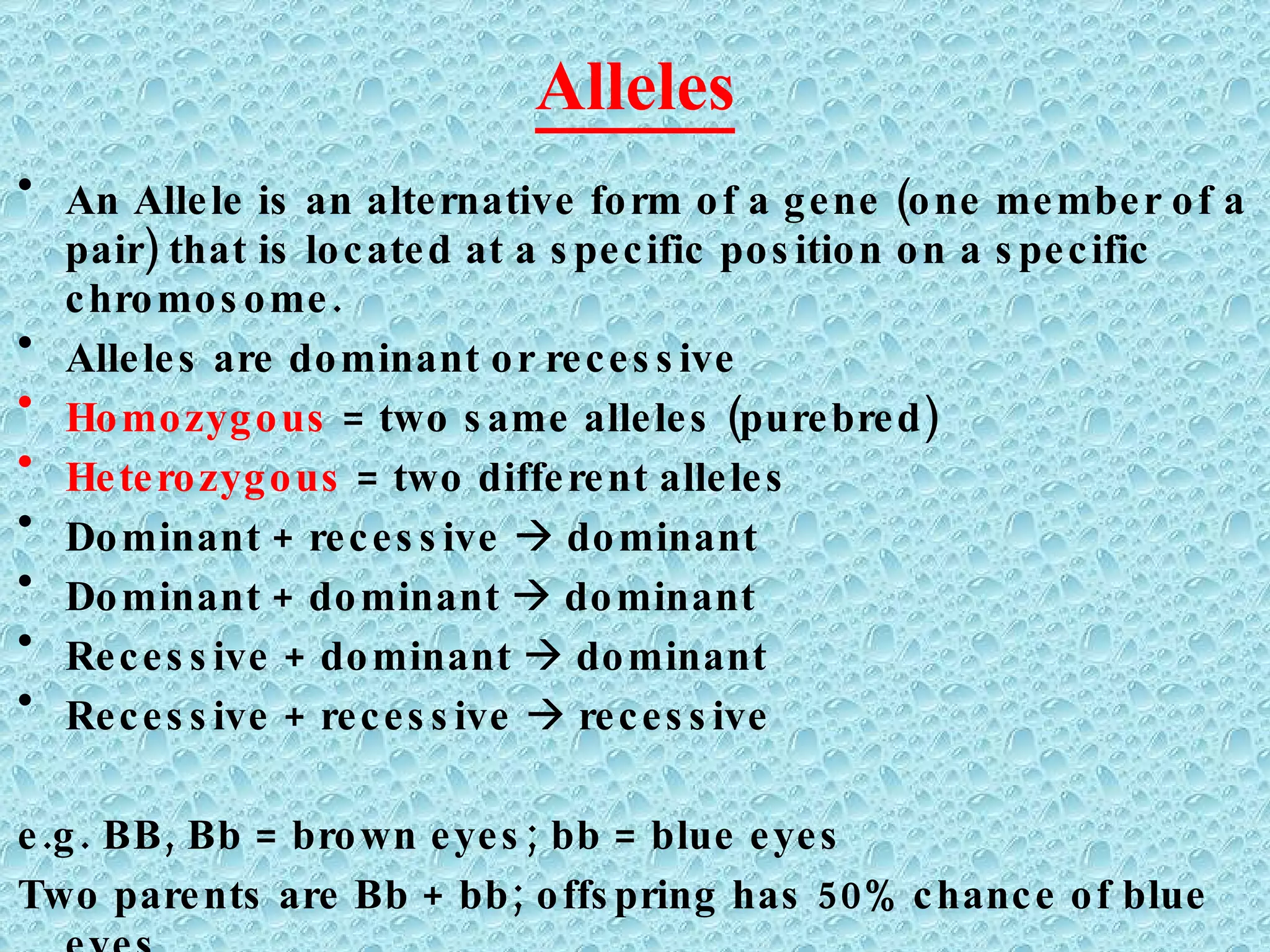 Human genetics | PPT