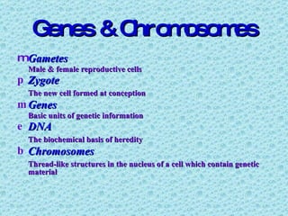 Human genetics | PPT