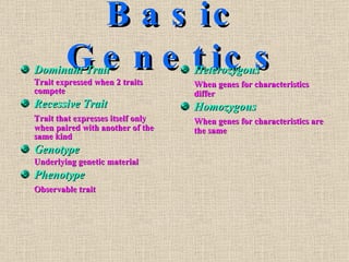 Human genetics | PPT
