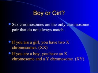 Human genetics | PPT