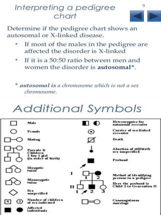 Human genetics | PPTX