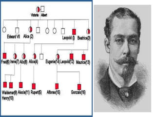human genetics.pptx