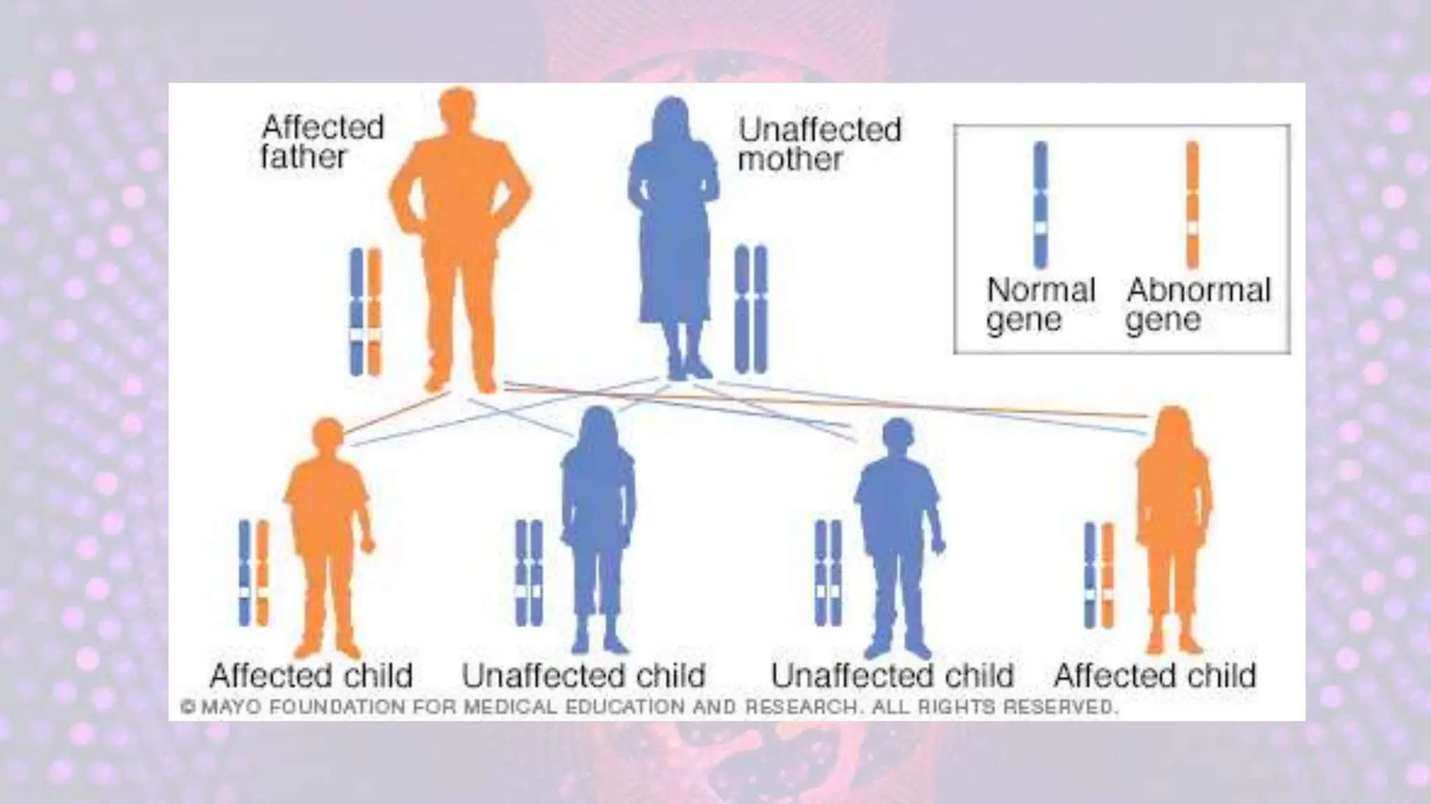 Human genetics..........................pptx