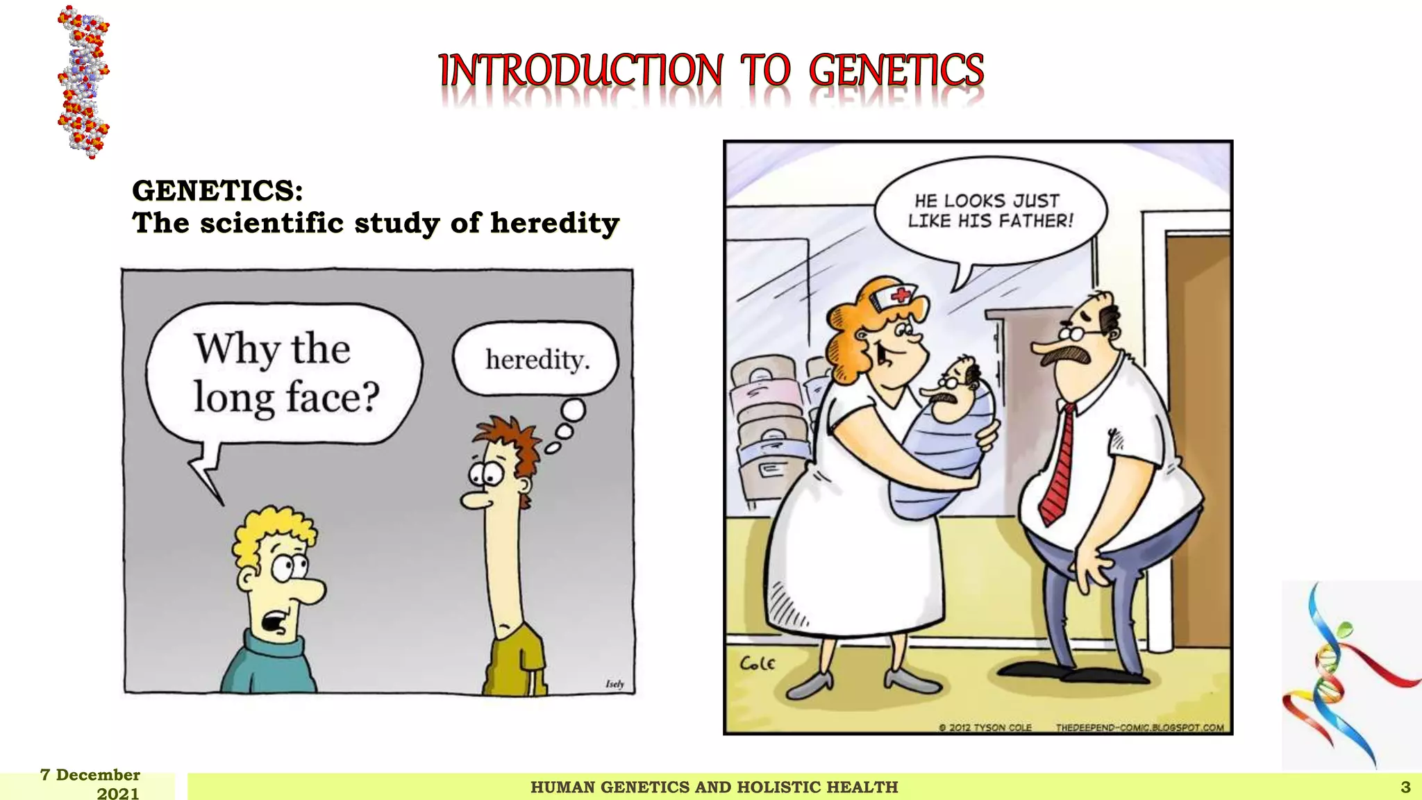 Human genetics and holistic health | PPTX